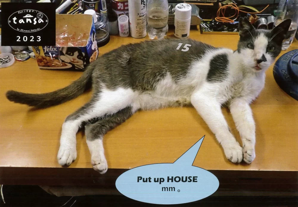 tansaⓇ 南 和貴「Put up HOUSE mm。」 | 新開地アートひろば